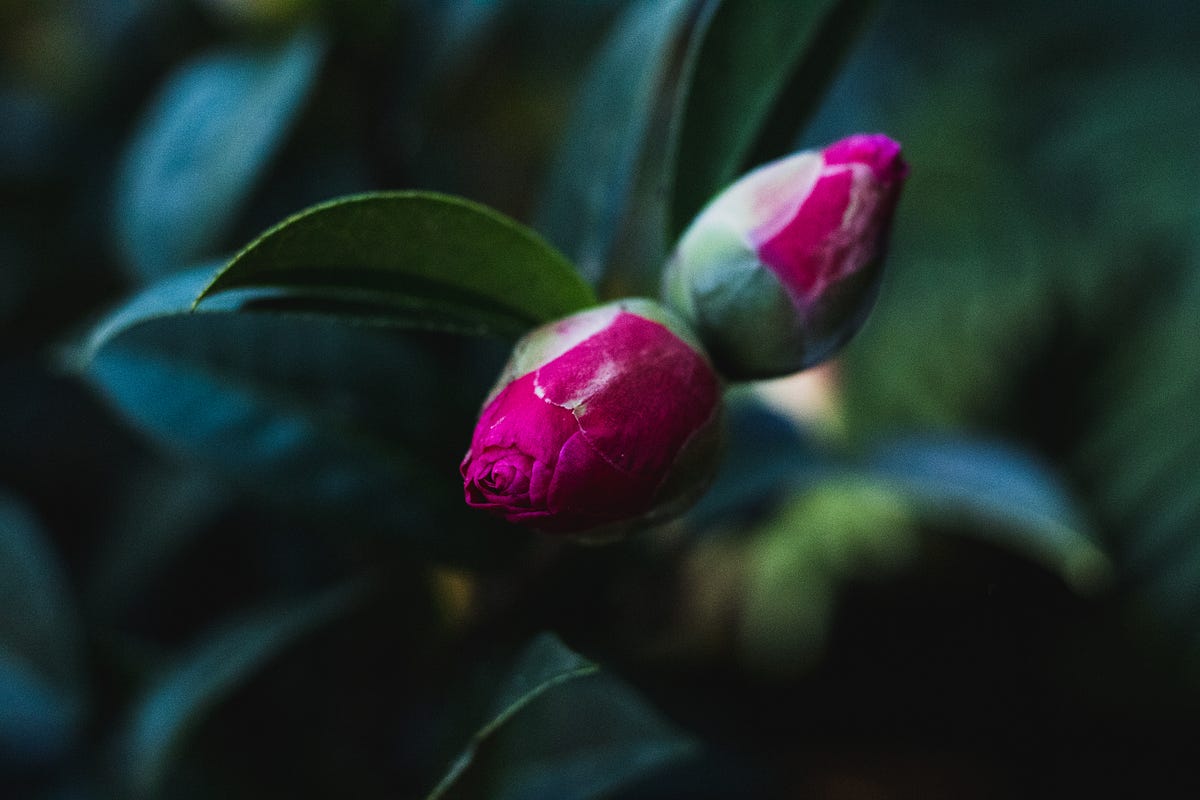 Positive Words and Plans for March | by Roz Andrews | Small Steps | Medium