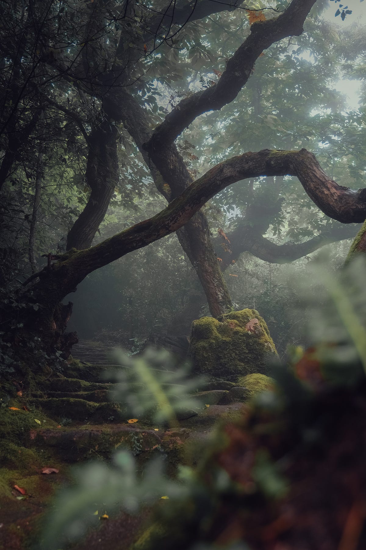 Sacrifice: A 100-Word Short Story - The Shortform - Medium