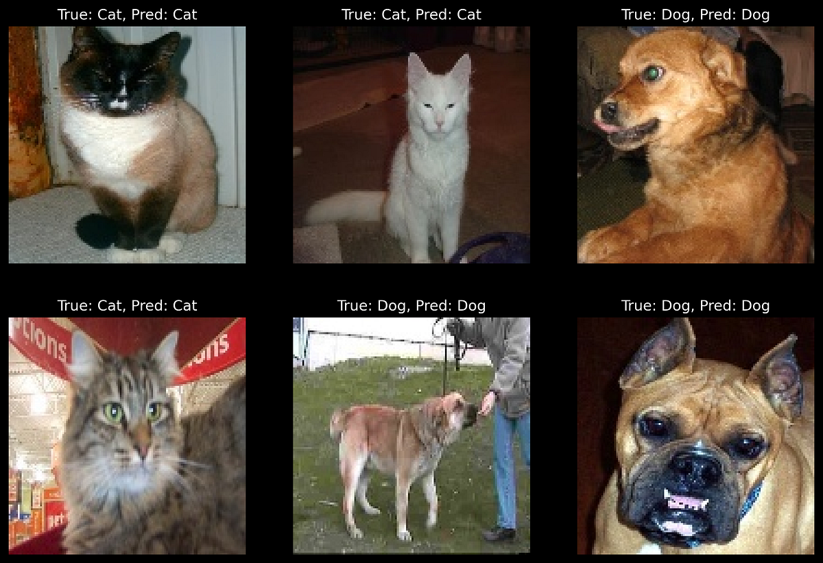 Training a Convolutional Neural Network for Binary Classification: Cats ...