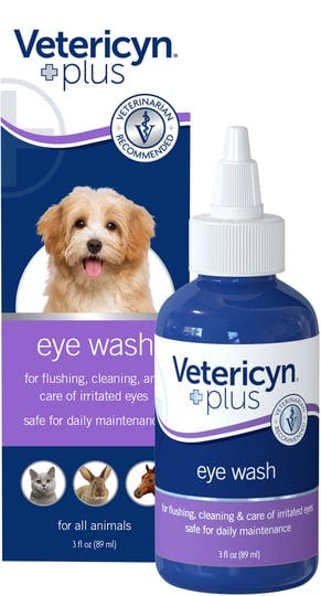 Dog Eye Washes | by Tina Berg | Jun, 2024 | Medium