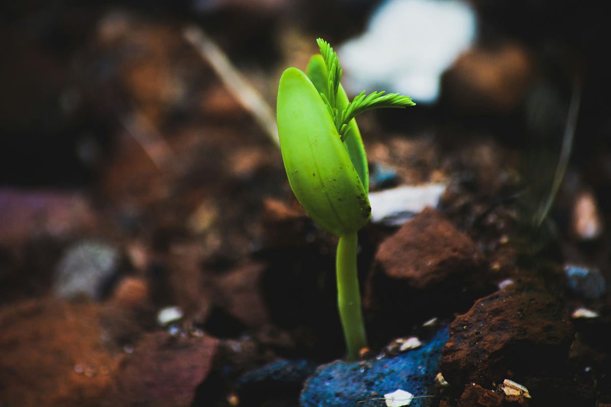 Growing up!. “Where did you grow up?” He asked “In… | by Faria Rashid ...