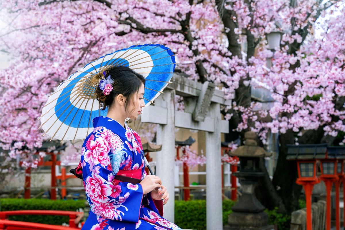 Maiko: L’élégance et la grâce des apprenties geishas | by NAGORIE | May, 2024 | Medium