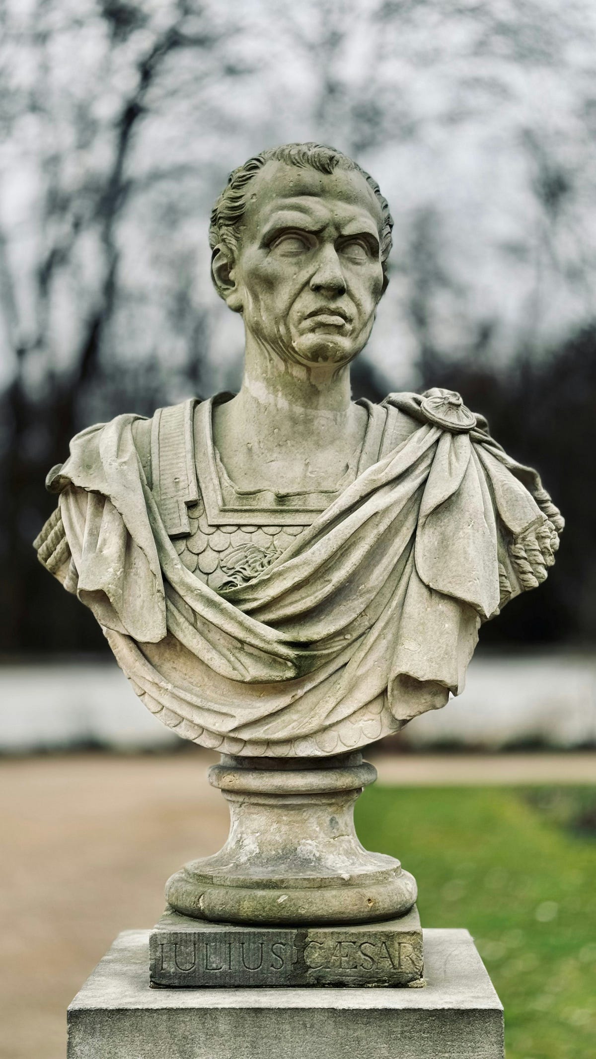 Who Was Julius Caesar?. The gravedigger of the republic | by Purple ...