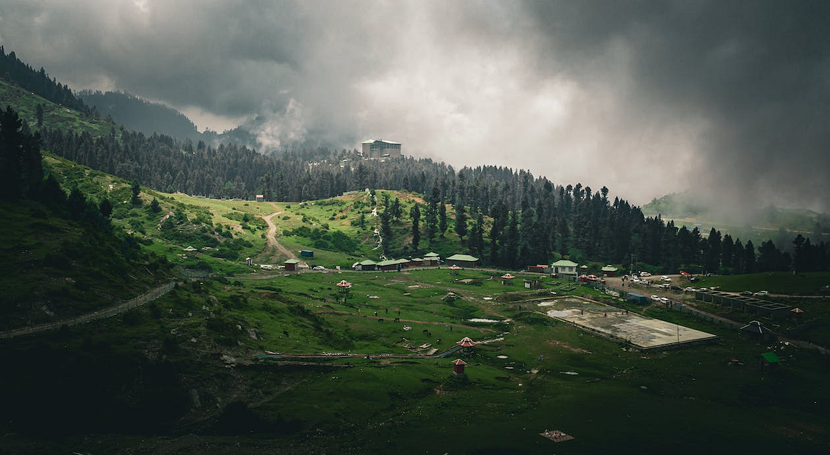 Ten Billion Trees Tsunami Program of Pakistan: Step Toward Long-Term ...