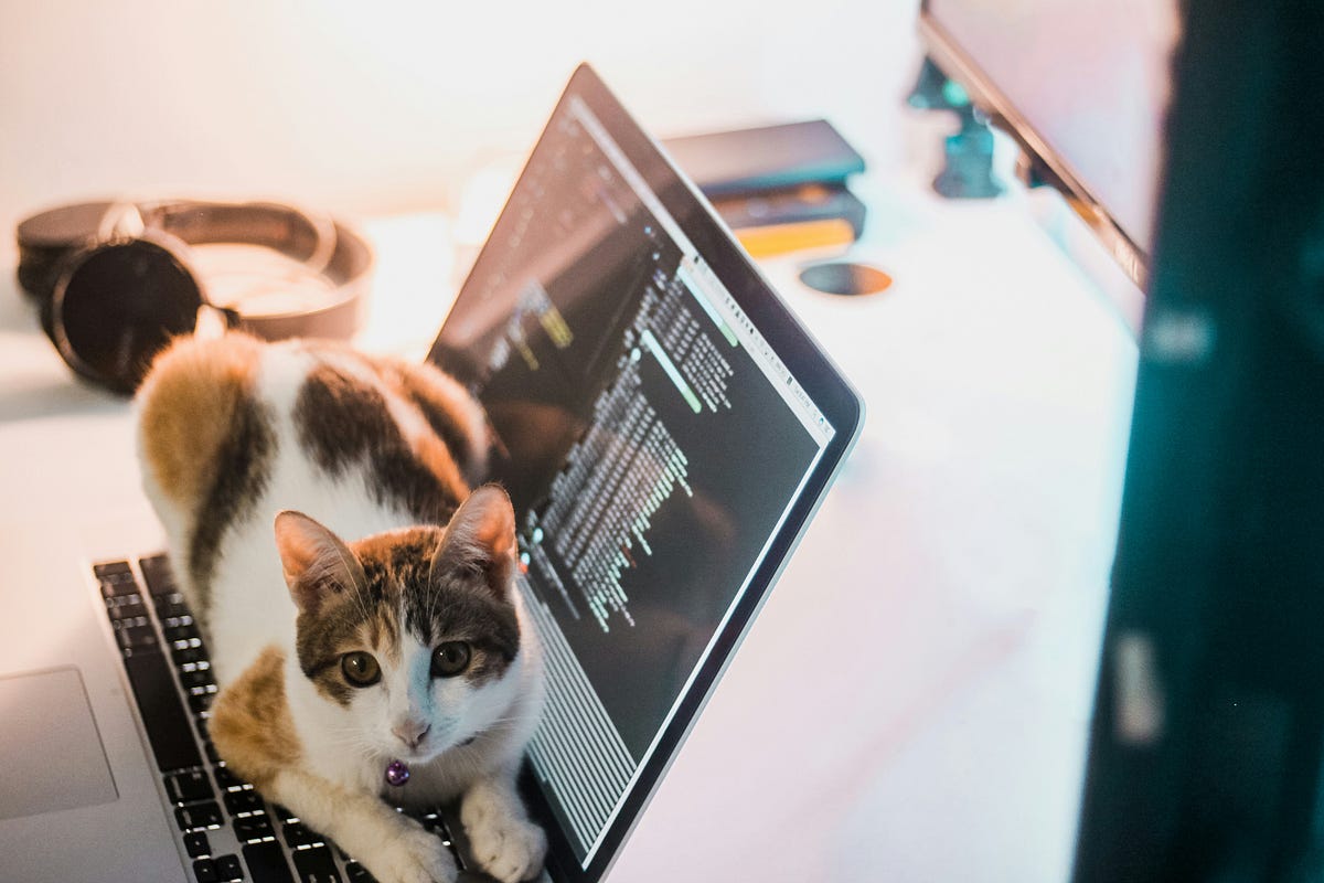 10 Tips Every New Coder Should Know to Succeed | by Cesar Aguirre ...