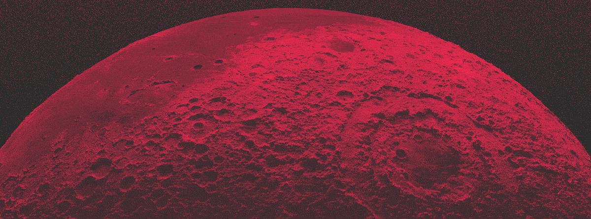 Wen Moon? From a Historical Milestone to Crypto Culture | Pollen-DeFi