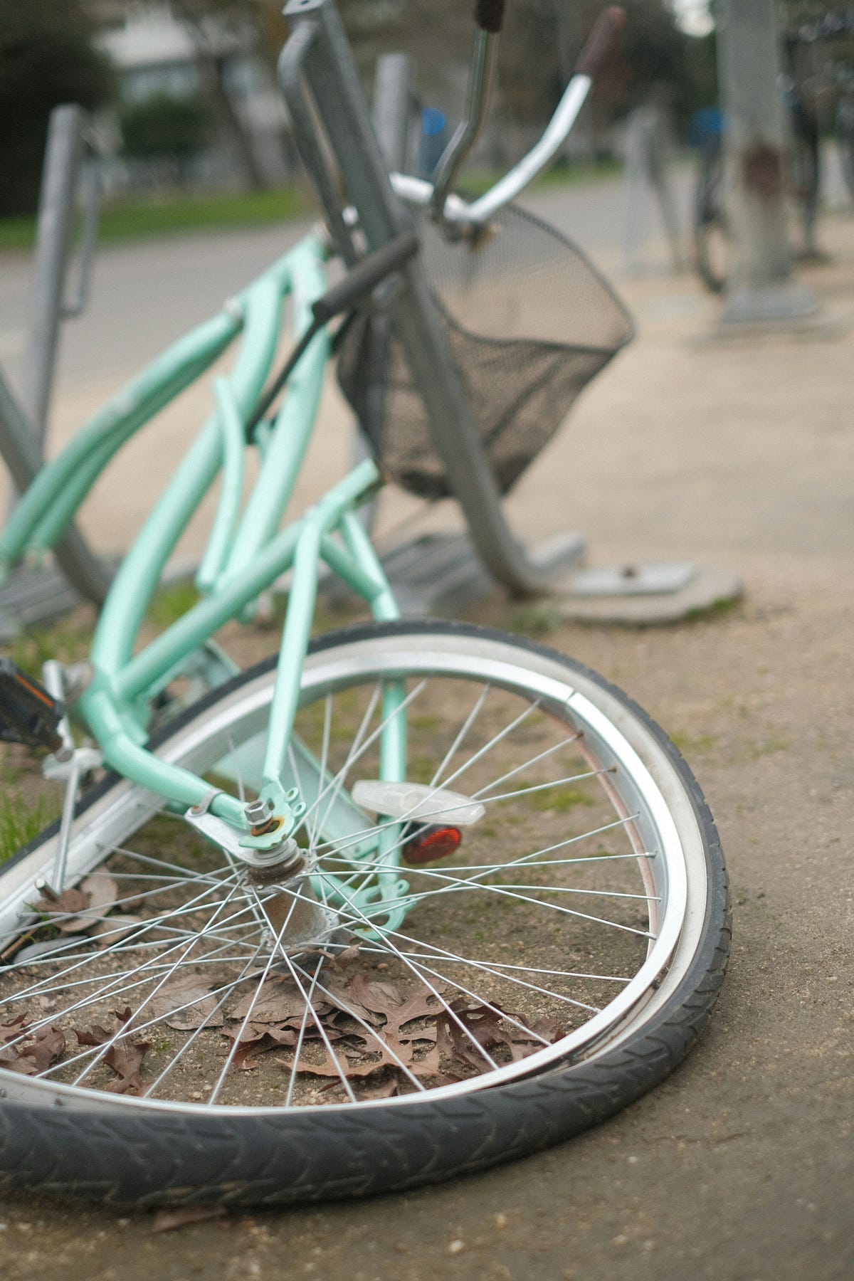 Sunset Through the Spokes - Mick Miller - Medium