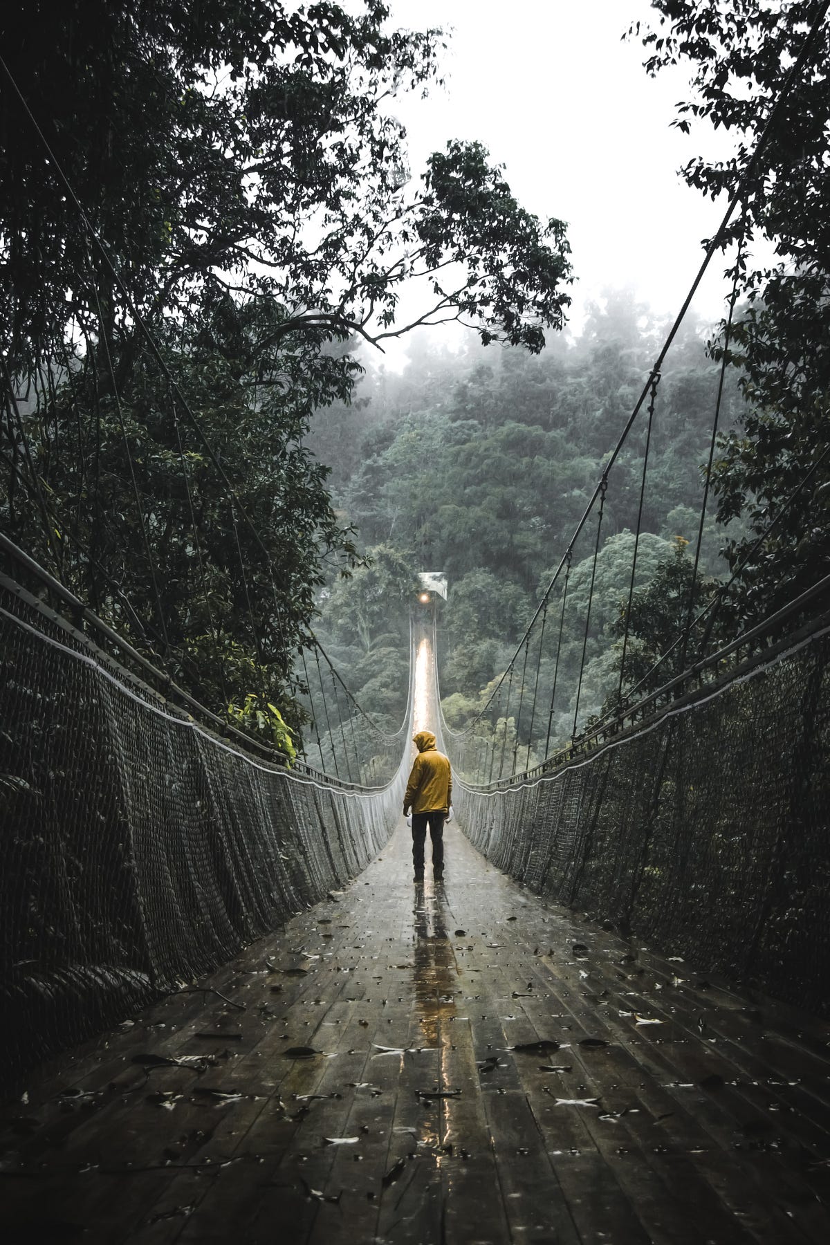 The Parable of the Bridge. An Unfinished Story of America | by Adam ...