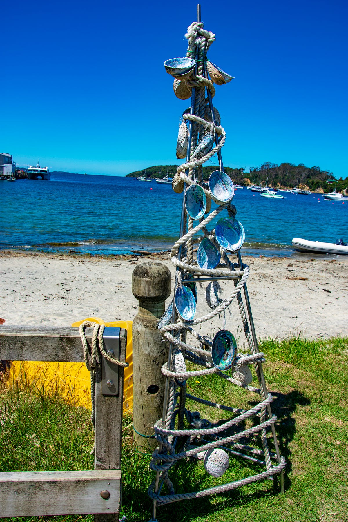 Stewart Island. I’d sat up late stewing. Nothing I… | by Avigail | Medium