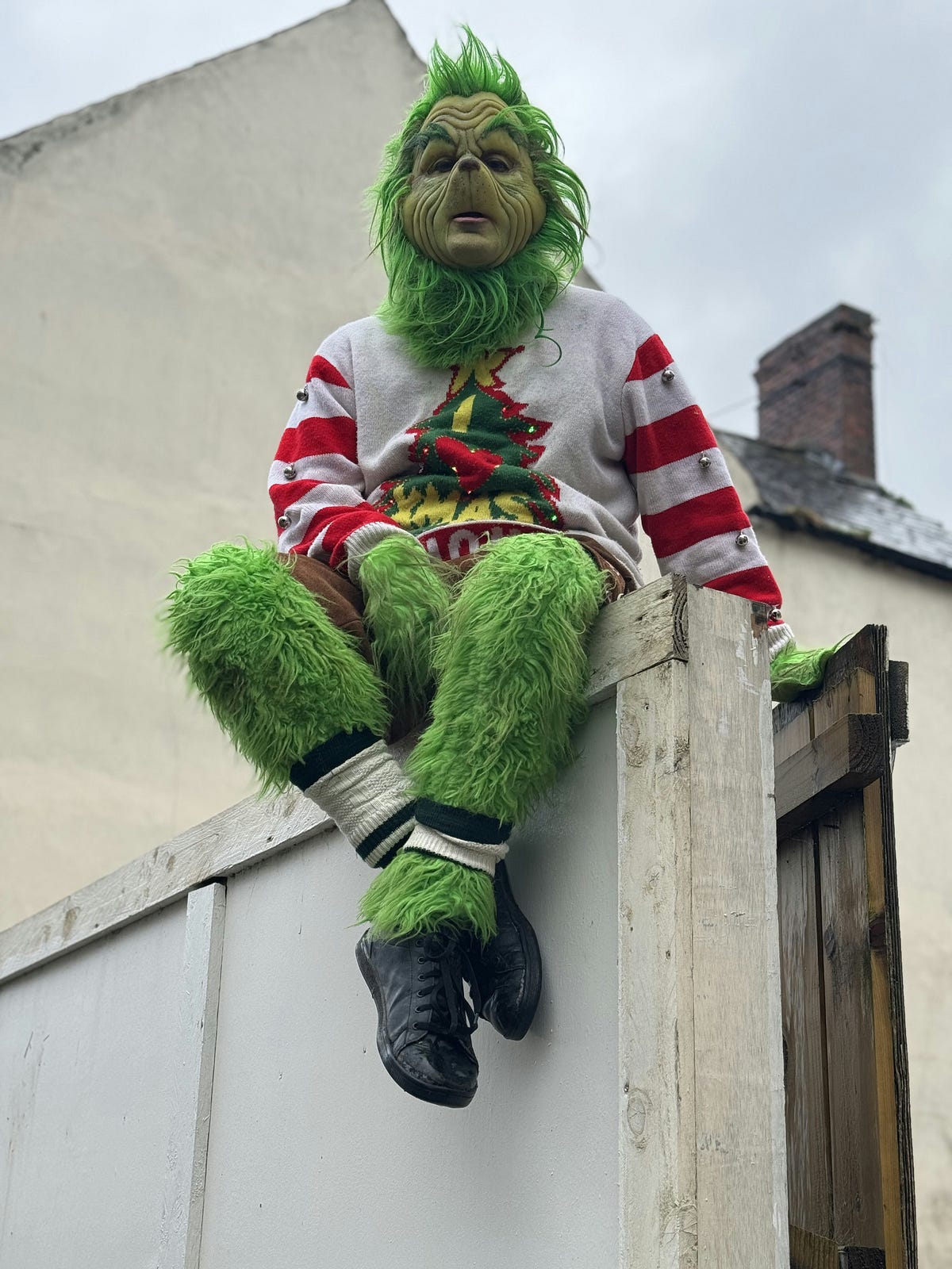 How the Grinch Tried to Steal Our Second Amendment Rights | by Alexis ...