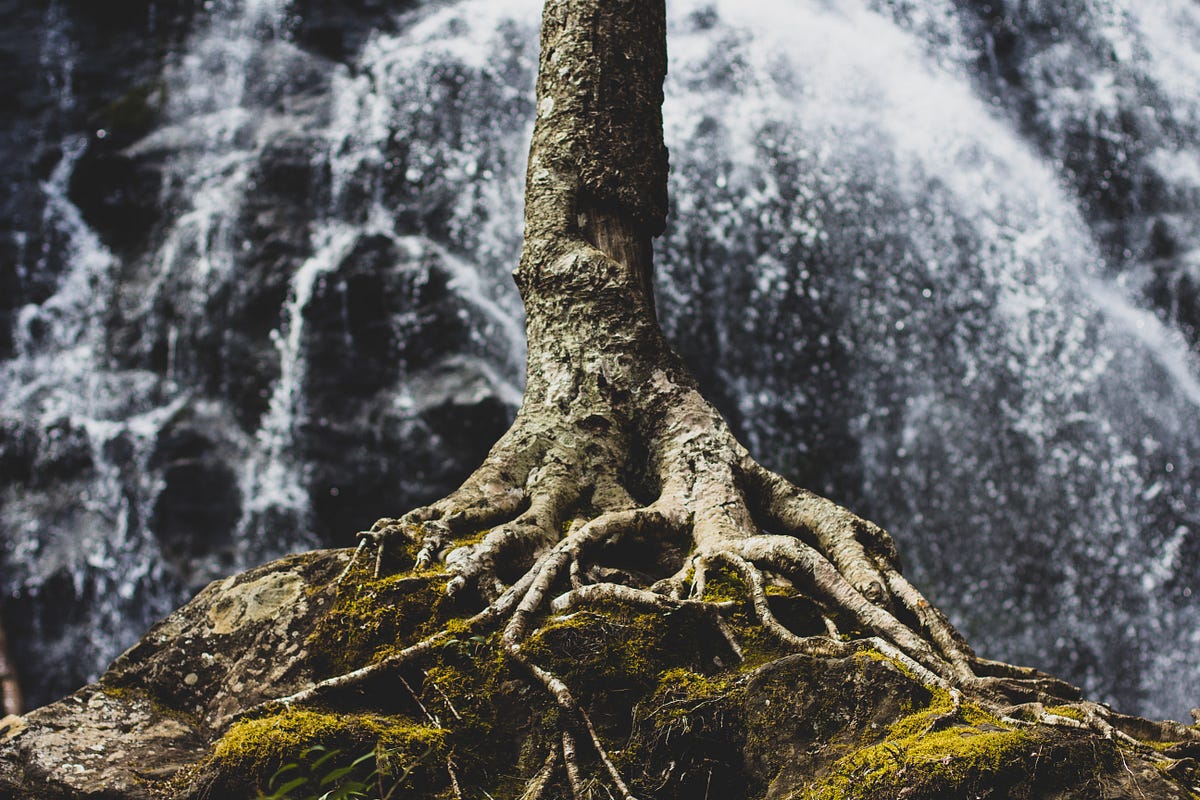 How to structure a React application that can scale, using local state. | by Alejandro Yanes ...