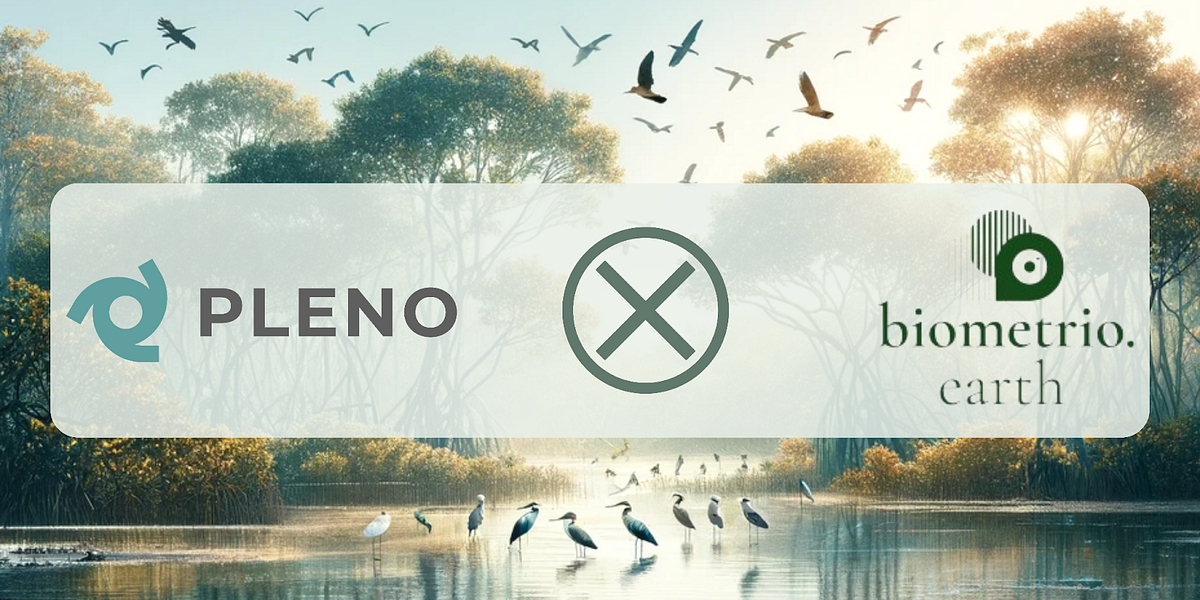 PLENO x biometrio.earth: Partnership Announcement | by PLENO | Medium