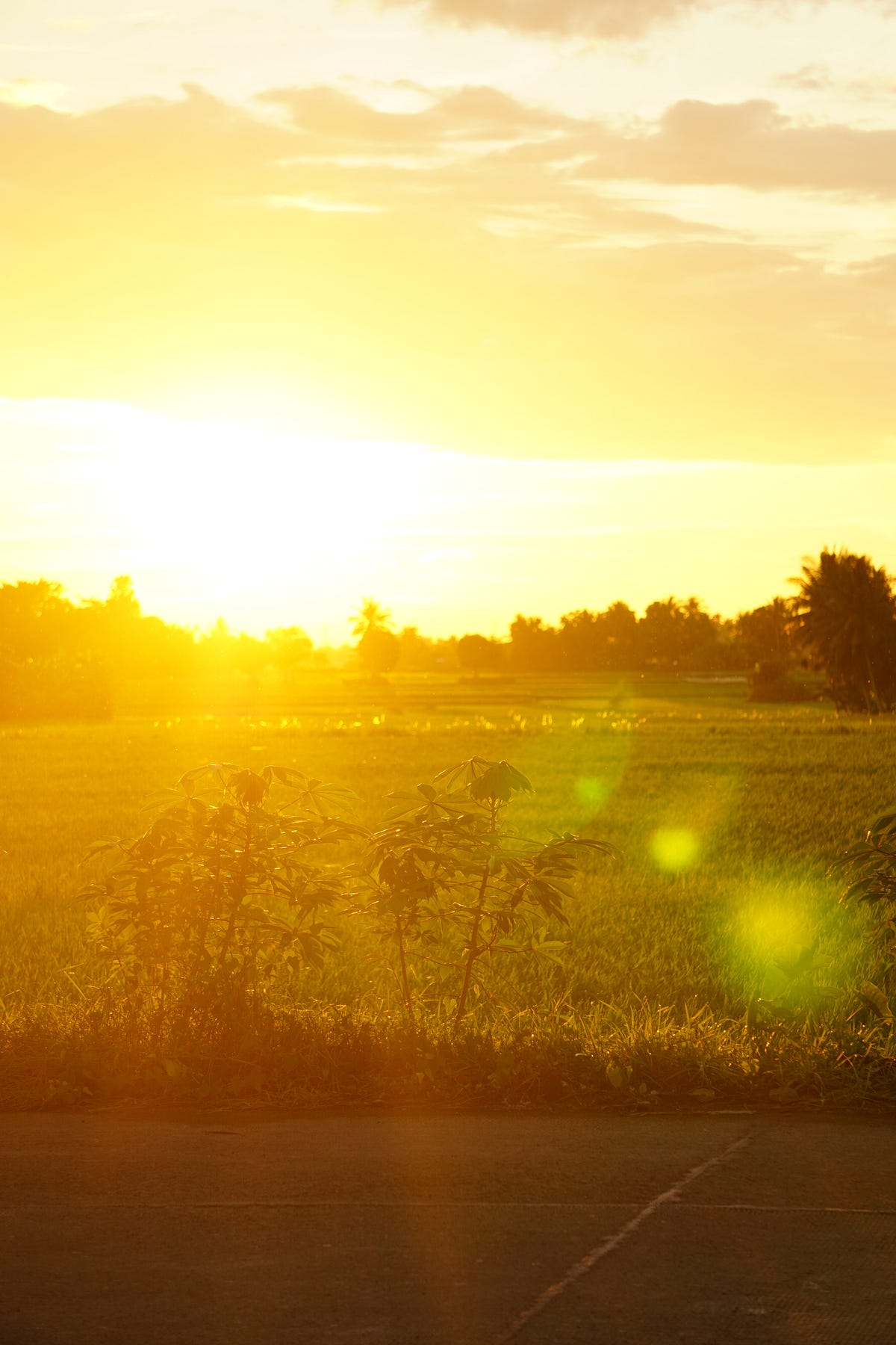 I expected an in-depth community immersion but expected the contrary. Part II. The family we met ...