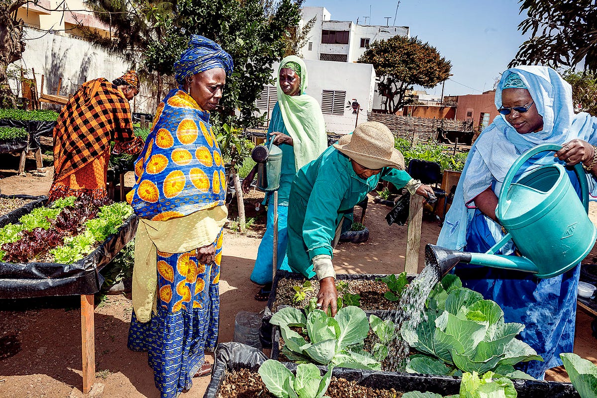 12 extraordinary stories of women remodelling their role in society ...