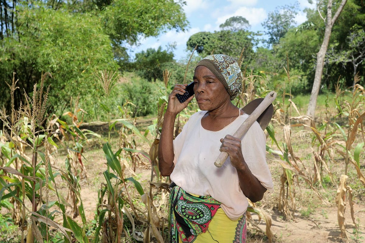 Empowering women one credit at a time with the W+ Standard | by Rishi ...