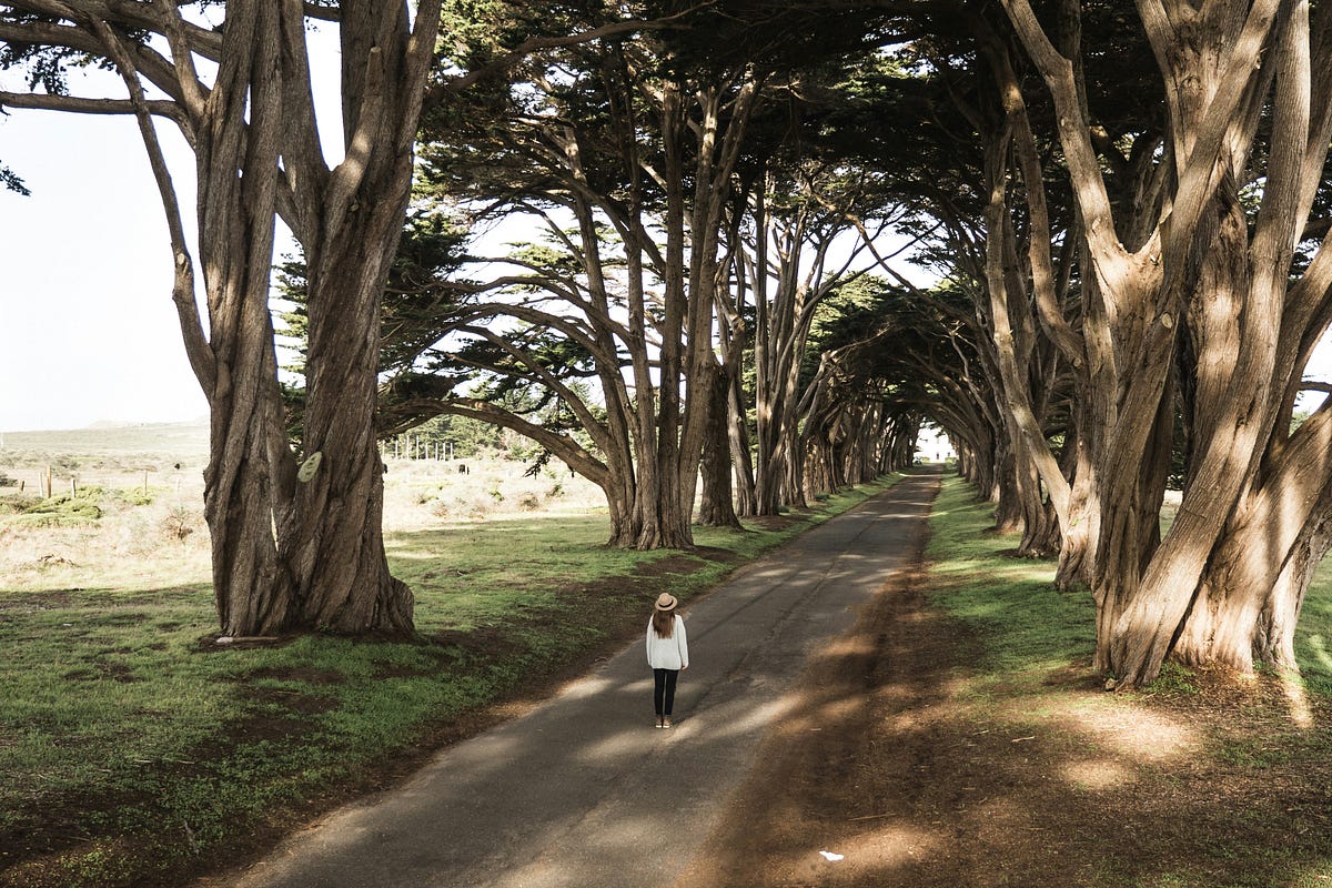 2025 ; The unforgettable year. Unfinished conversation December… | by ...