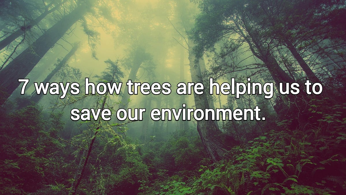Save Trees: 7 ways how trees are helping us | by Ayush Agrawal ...