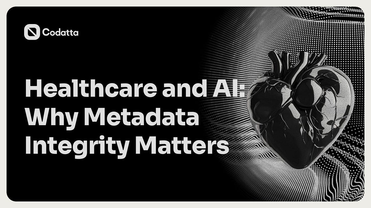 Healthcare and AI: Why Metadata Integrity Matters | by Adiele Wisdom ...