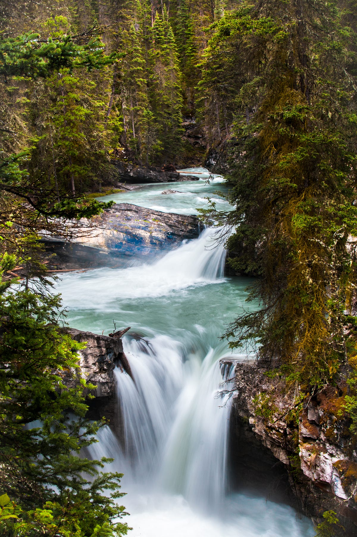 Streaming files between services in Node and Express | by Oded Levy ...