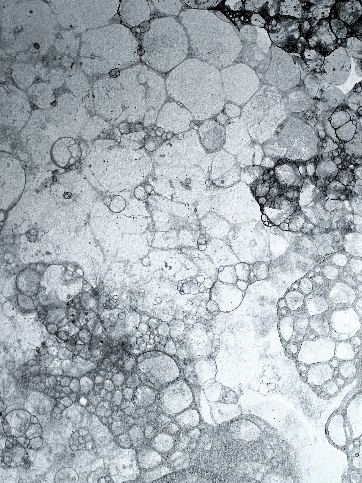 How to solve K-Means Algorithm Numerical? | by Sujan Karna | Medium