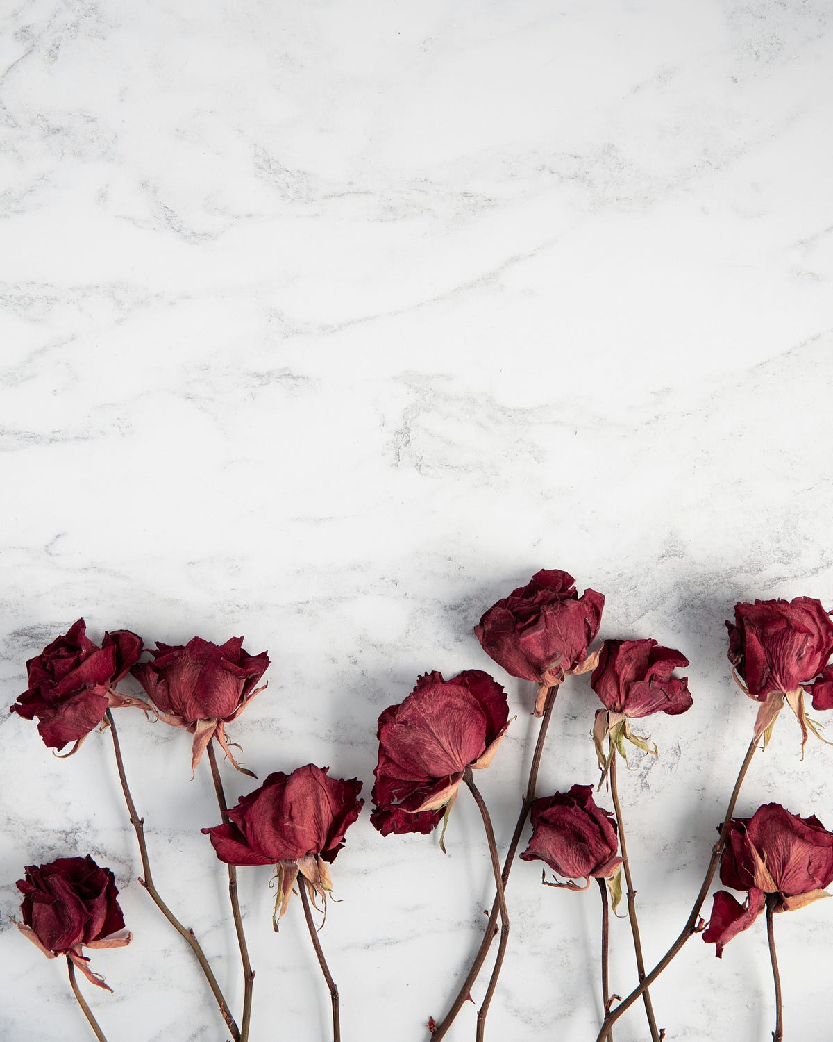 When Everyone Else Was Blooming, I Was Withering Away. | by Amal Devasia | The Silent Script ...