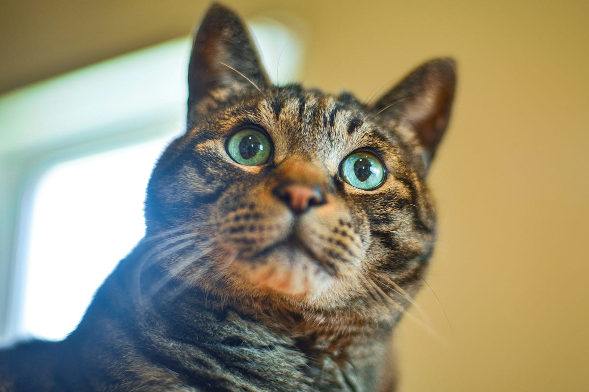 My Ex-Colleague Is Known for His Killer Prompting Skill at Work — And His ‘Why’ Really Shocked ...