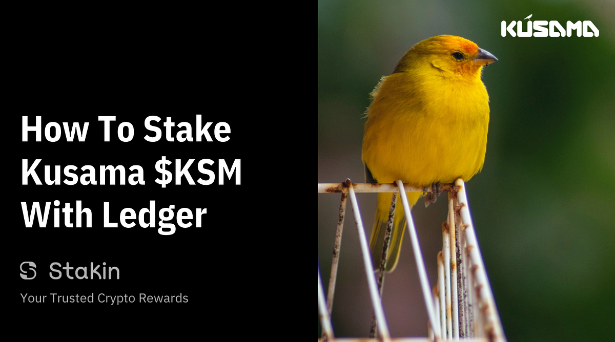 How To Stake Kusama With Ledger. A Step-By-Step Guide To Staking Your… | by Gisele Schout ...