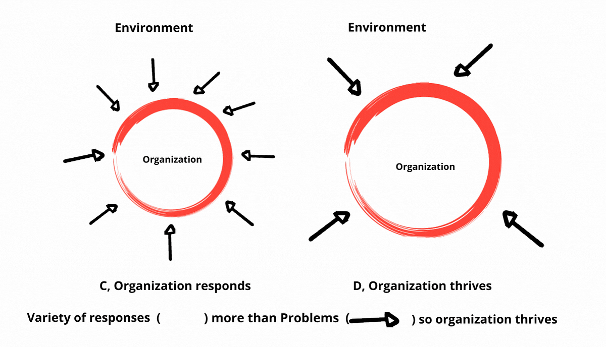 The Law of Requisite Variety in Machine Learning: Navigating Complexity ...