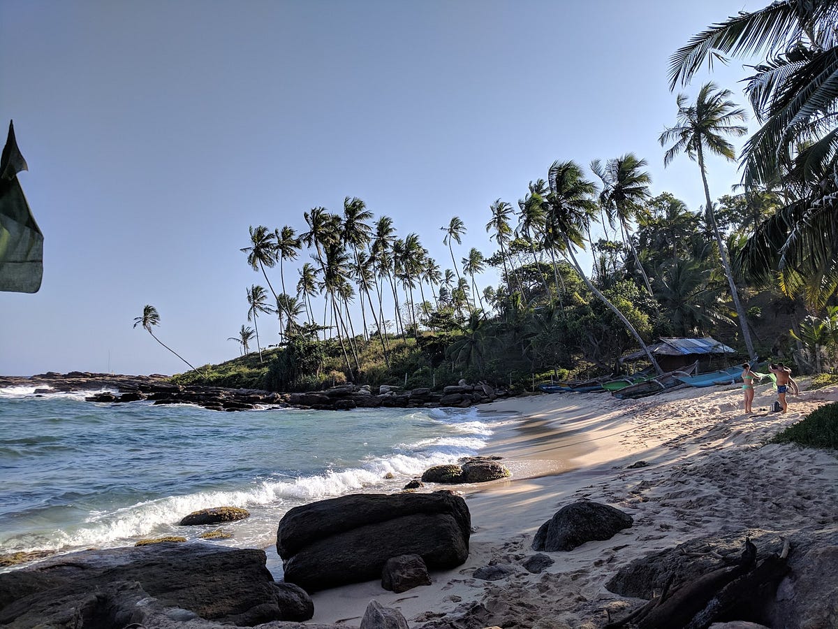 Chai Time at Cinnamon Gardens — Book review | by Sashi Sureshan | Medium