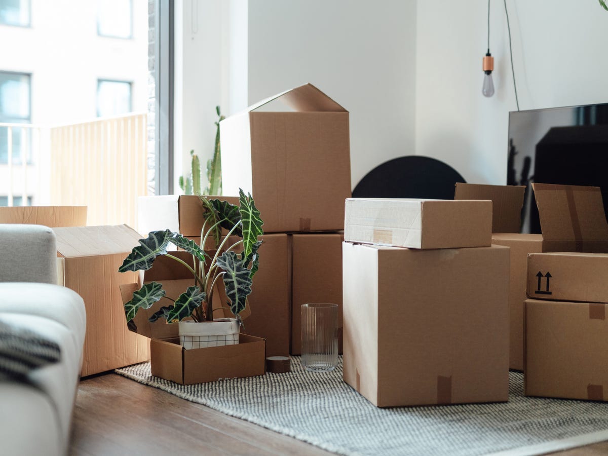 Local Movers Unveiled: What Every Homeowner Should Know Before Moving Day | by Sarver Movers ...