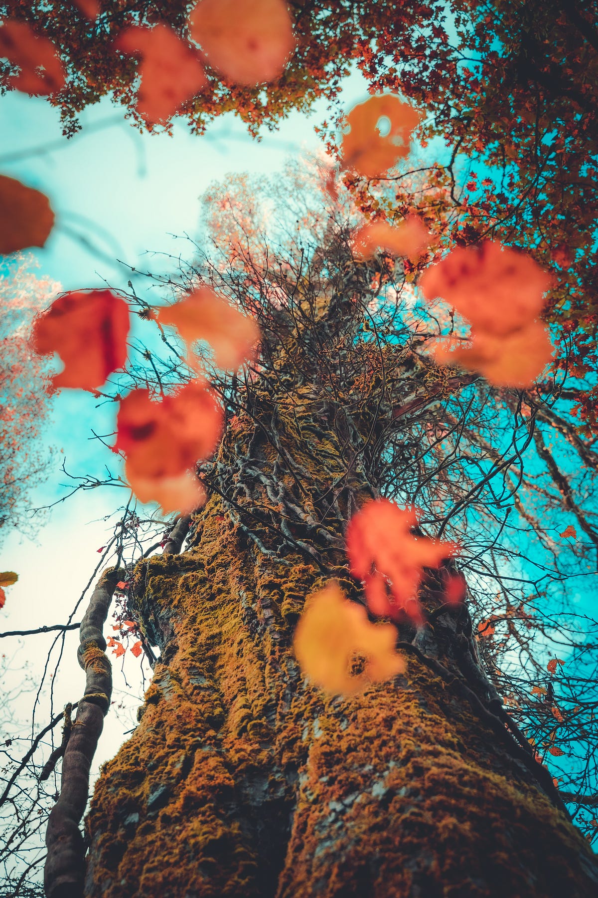 God’s Love Deserved God’s love is everything He helps you get done ...