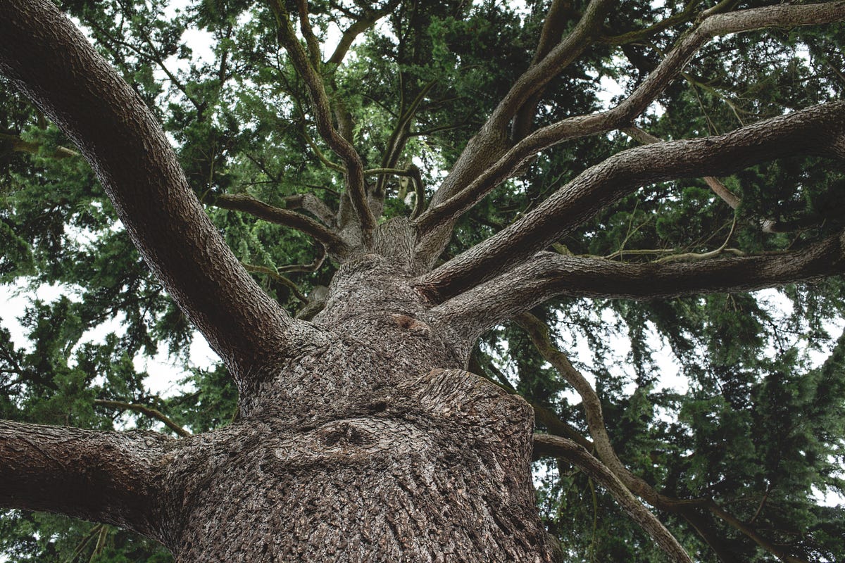 How-to rename your ‘master’ branch to ‘main’ (or something else) | by ...