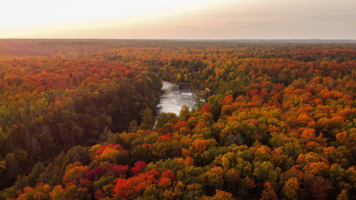 Autumn’s Splendor: 10 Enchanting Fall Foliage Spots Near Kitchener ...