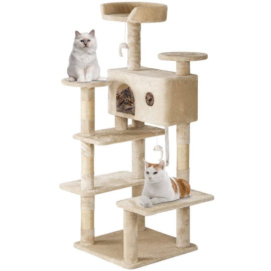 Cat Posts | by Orlando Collins | Medium