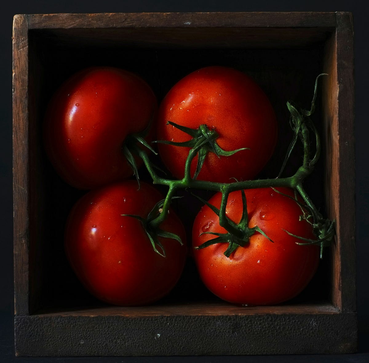 Rutgers Tomato and Campbell’s soup - Lyle Hedley | The Daily Cuppa