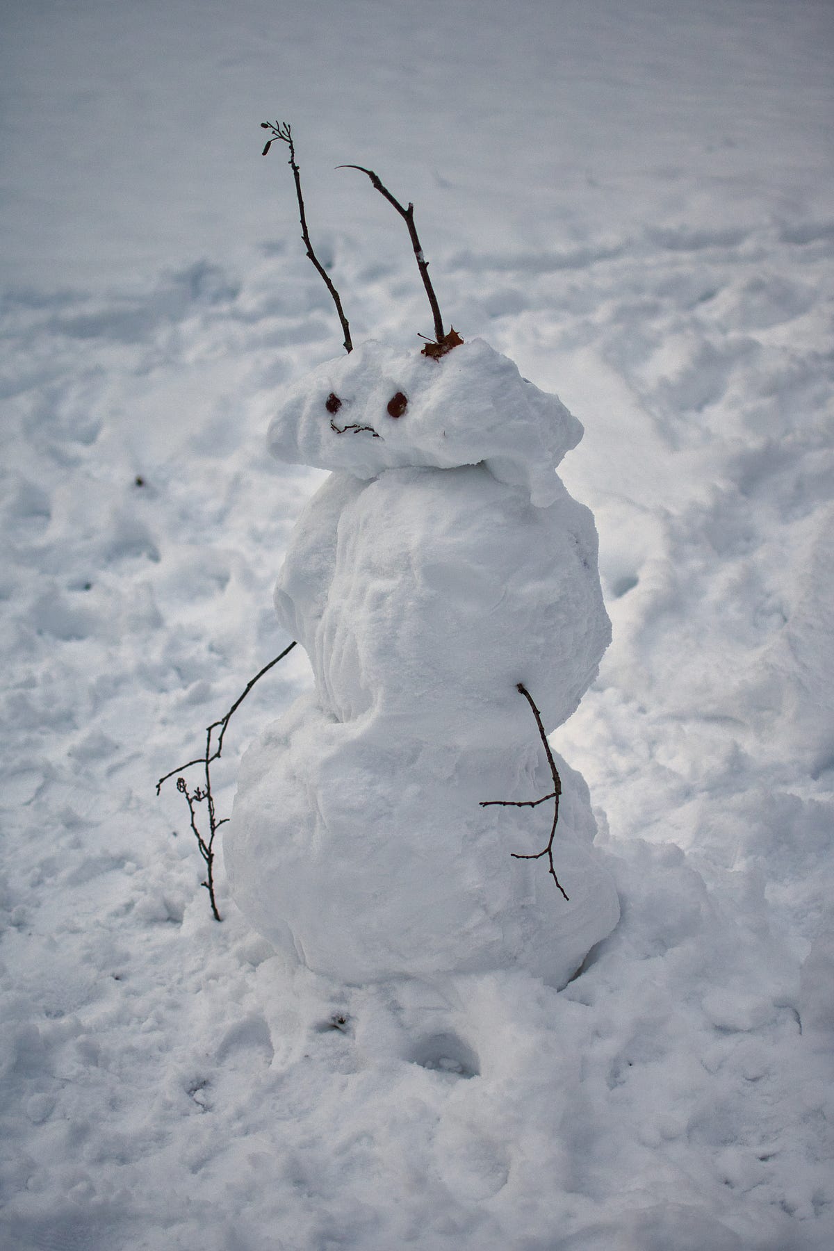 INVINCIBLE SNOWMAN. 2000 Hours — Saturday | by Nicky Pirie | Medium