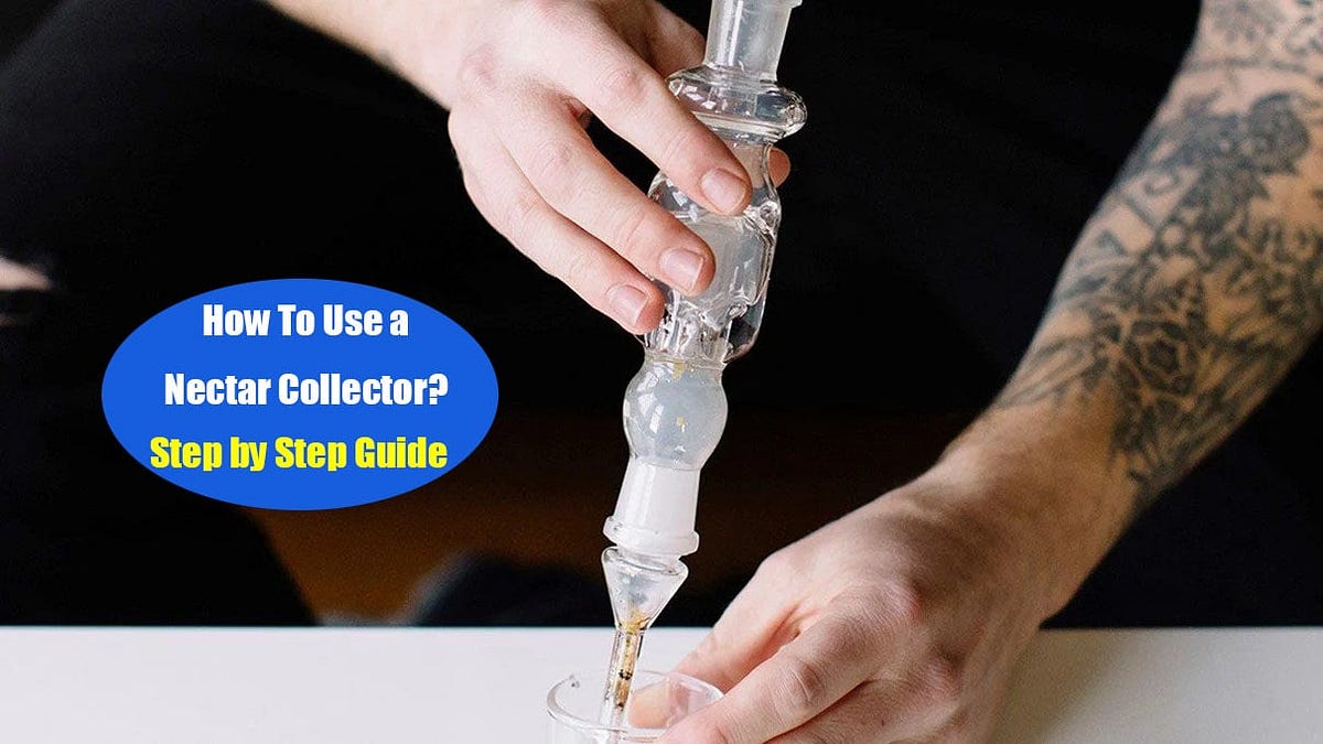 How To Use a Nectar Collector? Step by Step Guide | by gotobuuy | May ...