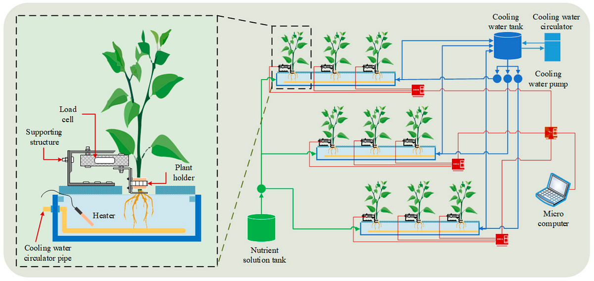 Study Of Growth Conditions in Hydroponics: Quality, Light, Photoperiod ...