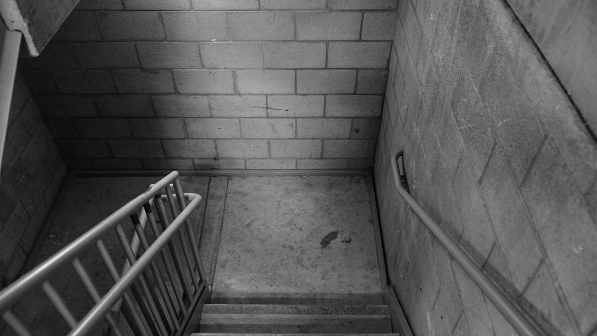 Cursed Basement. “The Cursed Basement” follows the tale… | by Isabela Otreira | Medium