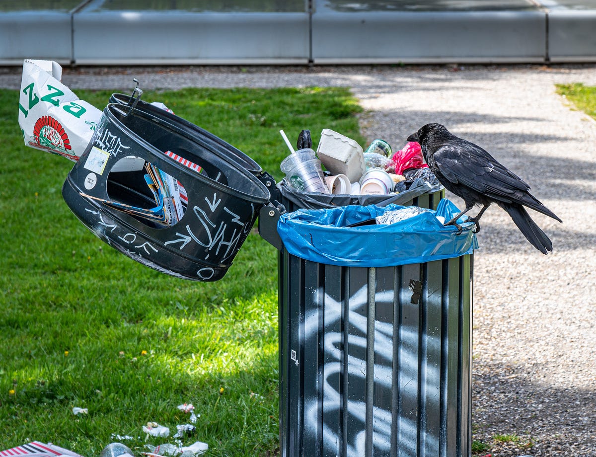 Understanding Memory Life Cycle and Garbage Collection in JavaScript | by Theodore John.S | Medium