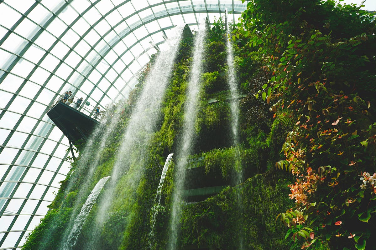 The Bricks That Breathe: Buildings That Are (Kind Of) Becoming Alive ...