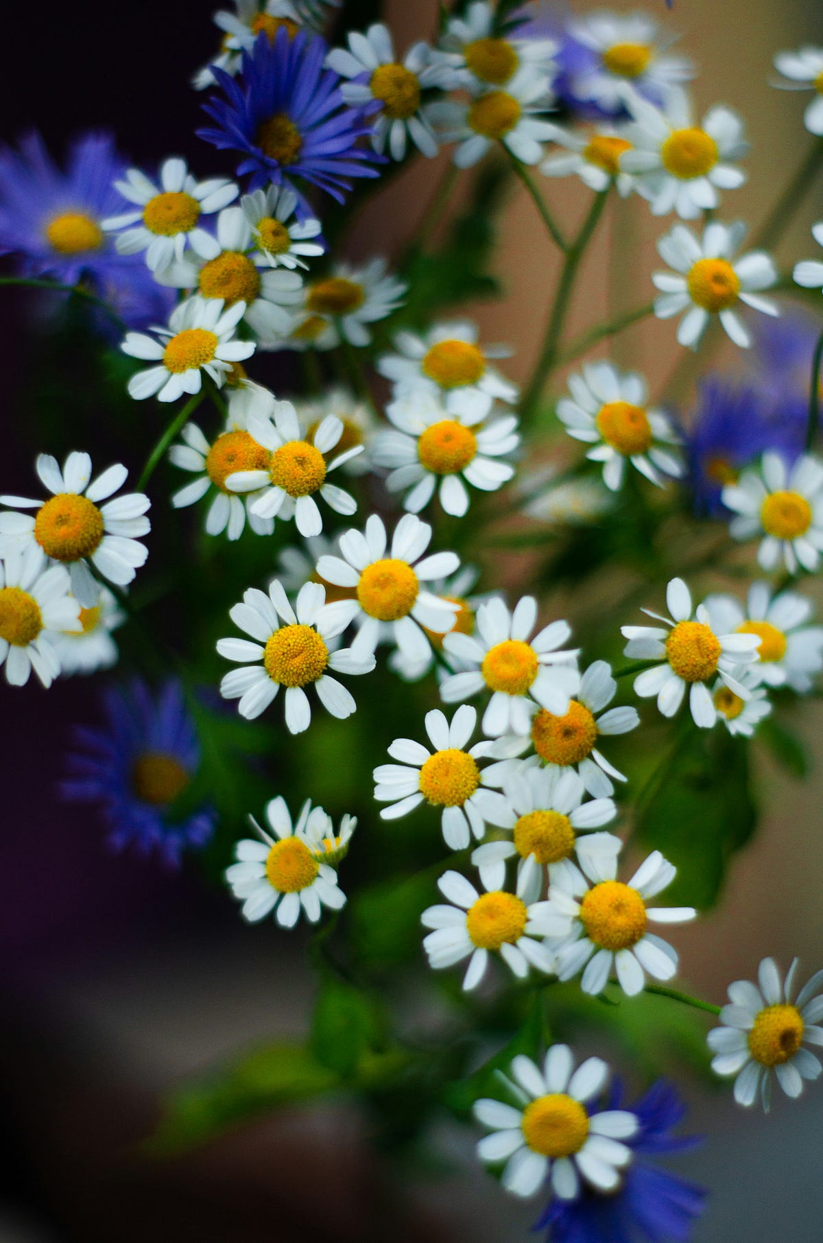 Small little things!. Small little things, On your mind, Must… | by ...