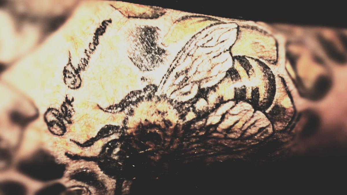 Clovis Rex: The Forging of France | by Dries Braeckman | Oct, 2024 | Medium