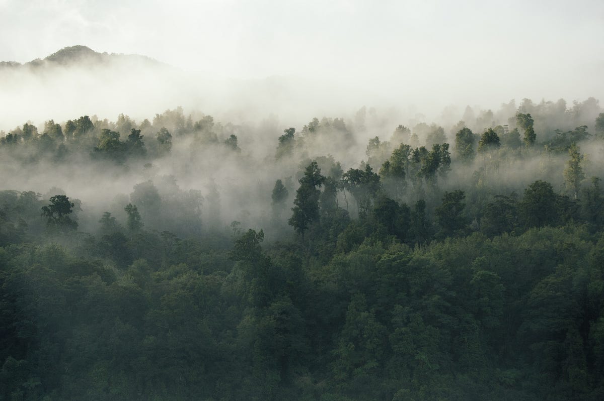 How refactoring improve readability, maintainability and performance optimization of your ...