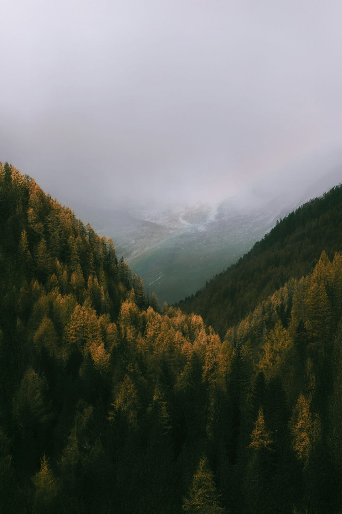 How do you recognize fake readers, and what should be your strategy ...