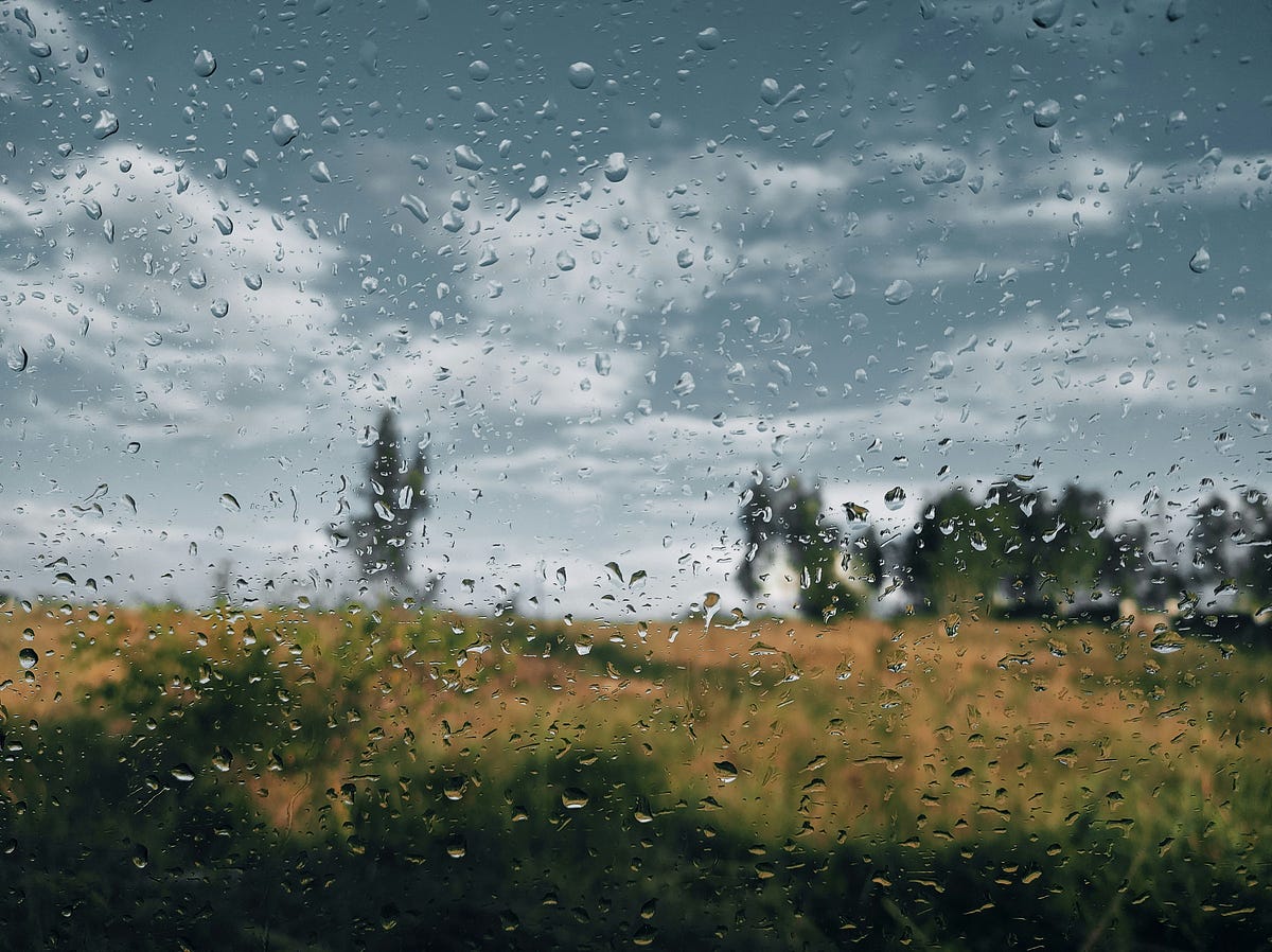 Morning After a Wet Night. During and after an overnight storm | by Derek J. Allison | The Lark ...