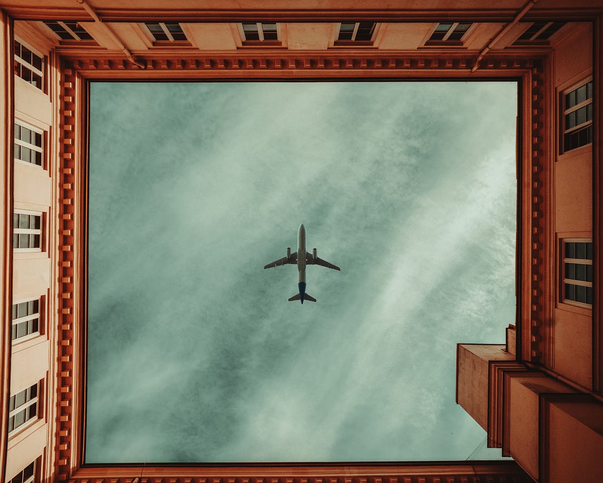 What is the Flight Trauma Response? | by J.G. | ILLUMINATION | Medium