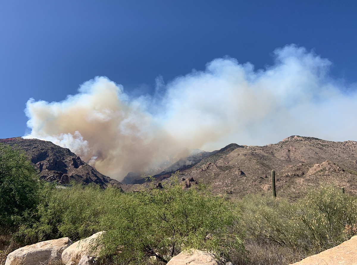 Leave No Trace. By Sumedh Prasad | by Sumedh Prasad | Medium