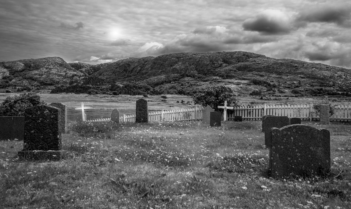 ‘Digging Up Bones’ — a New Publication | by Vera-Marie Landi | The ...