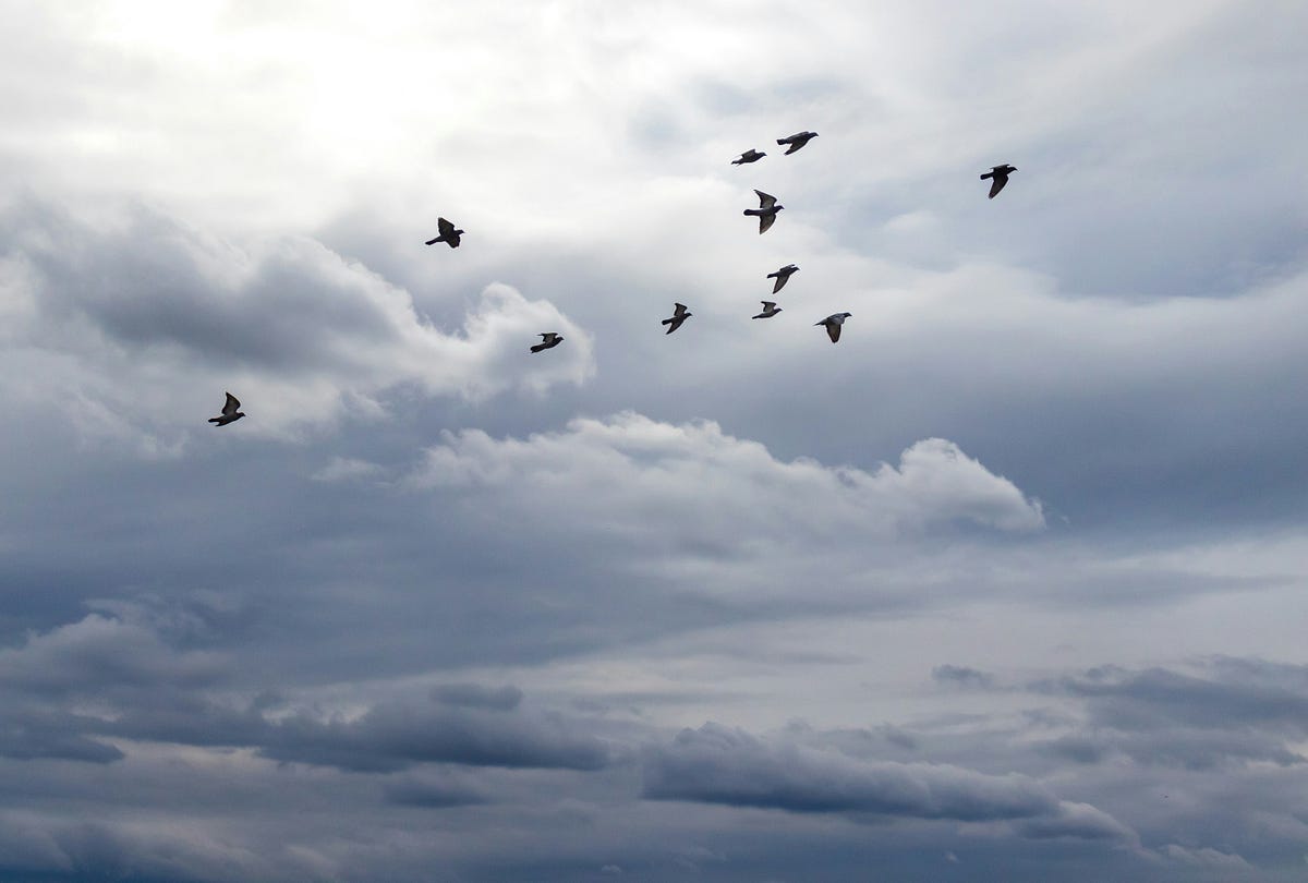 Coffee and Storms: A Moment’s Muse | by Jane Katt | Medium